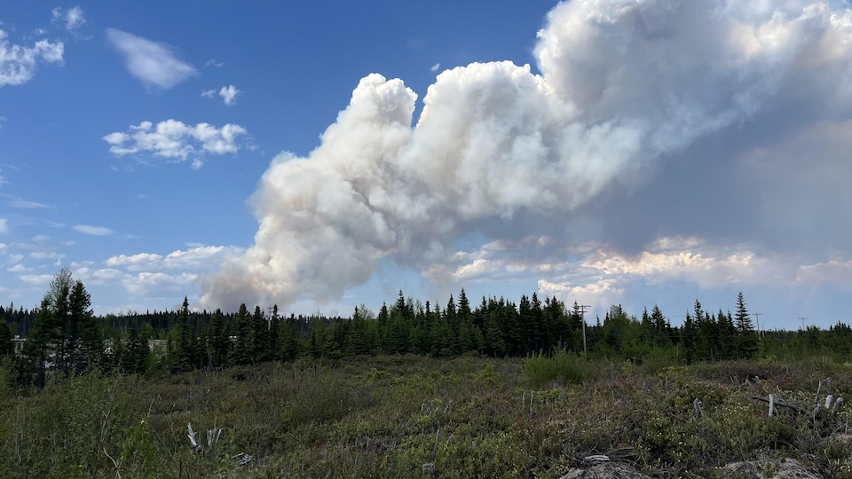 Le feu au nord du lac des Rapides est maîtrisé | Radio-Canada.ca