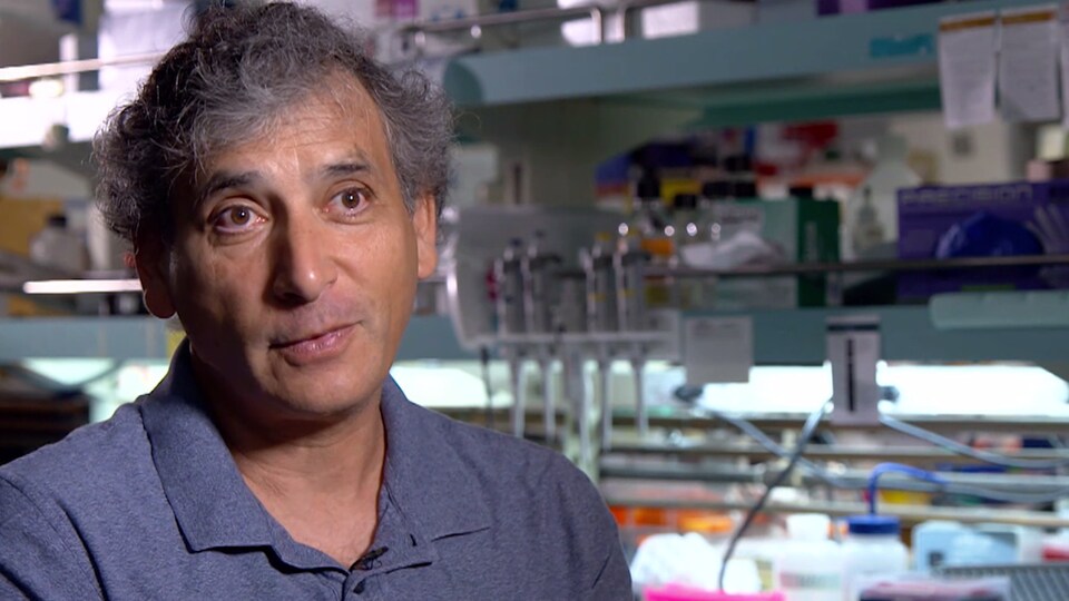 Jusqu'où peut-on manipuler l'ADN des espèces? | ICI Radio-Canada.ca