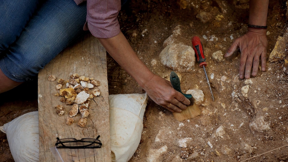 Un fossile humain possiblement le plus vieux d’Europe découvert en ...