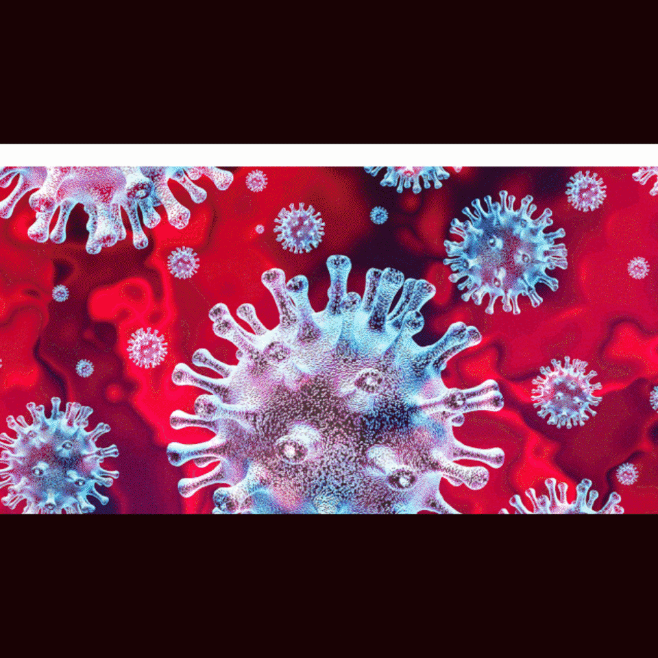 La pandémie « s'accélère », met en garde l'OMS | Coronavirus | Radio ...