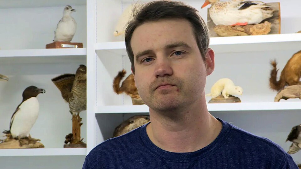 Des coyotes s’aventurent en milieu urbain à l’Île-du-Prince-Édouard ...