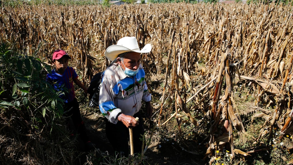 La crise climatique aggrave la « faim aiguë » dans les pays les plus ...