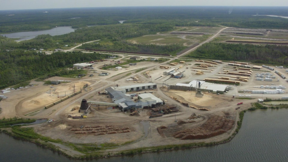 Benoît Lecours, propriétaire de la seule scierie indépendante en ...