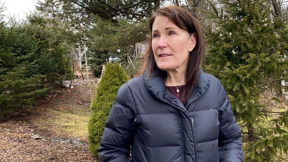 « Nous pensions qu’il était condamné à mort » : l’aigle Buddy se porte ...