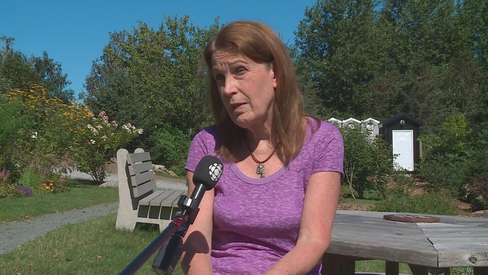 De plus en plus de pigeons empoisonnés à Halifax | Radio-Canada.ca