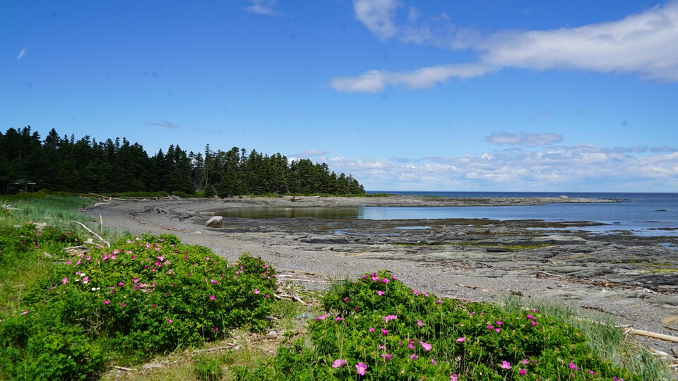 Vivre comme un insulaire le temps d’une journée | Radio-Canada.ca