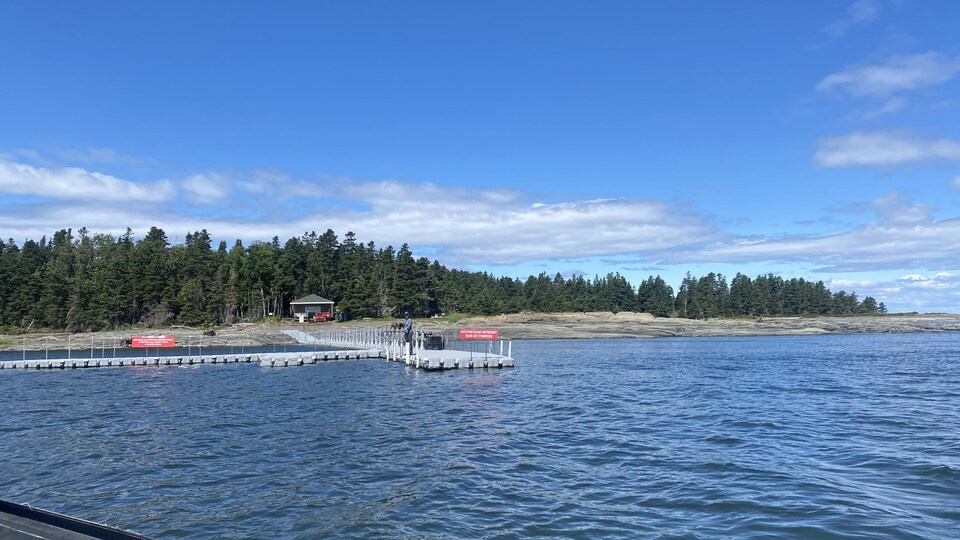 D’autres visiteurs ont déjà été oubliés sur l’île Saint-Barnabé | Radio ...