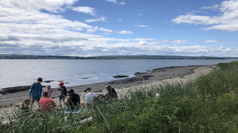 D’autres visiteurs ont déjà été oubliés sur l’île Saint-Barnabé | Radio ...