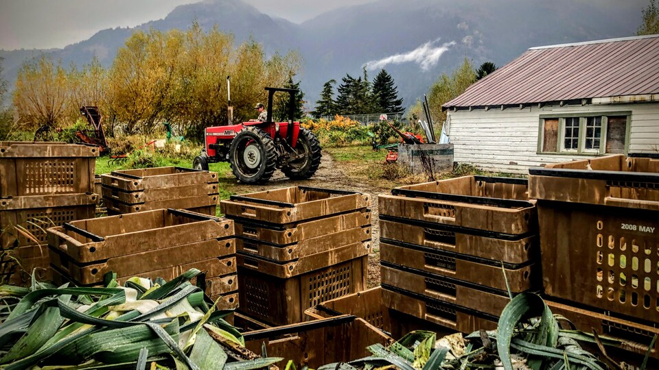 Un an après les inondations, le traumatisme perdure chez des fermiers ...