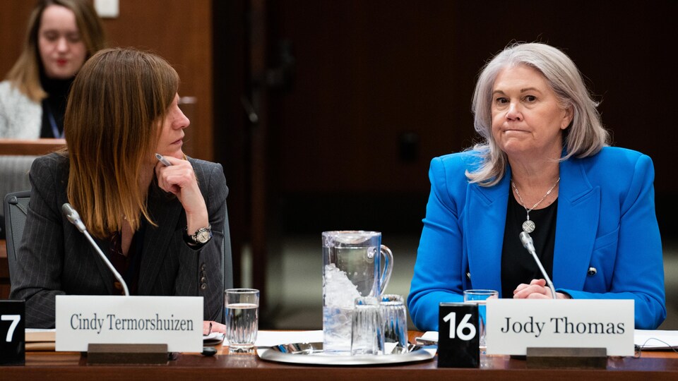 Affaire Chong : les députés votent à l’unanimité pour un examen des ...
