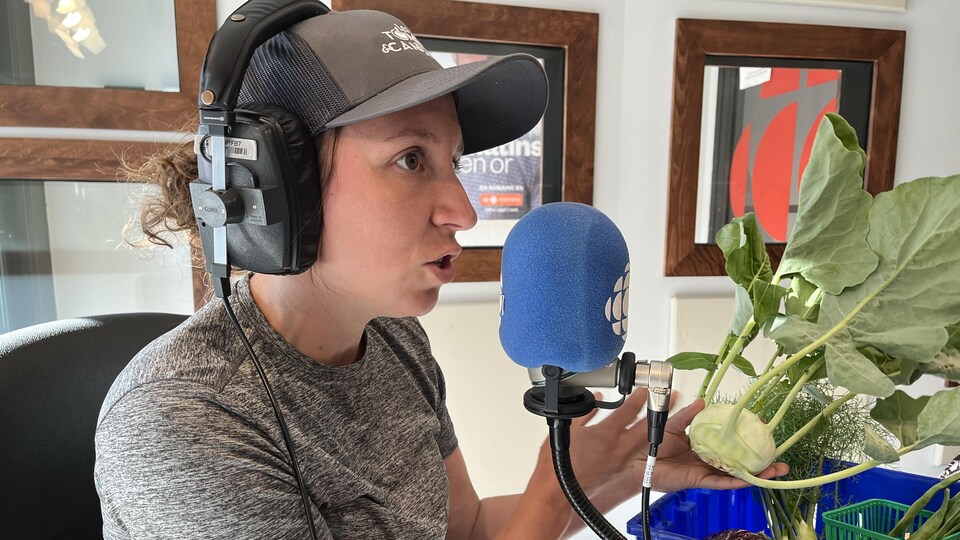 Découvrir et apprécier les légumes méconnus du potager