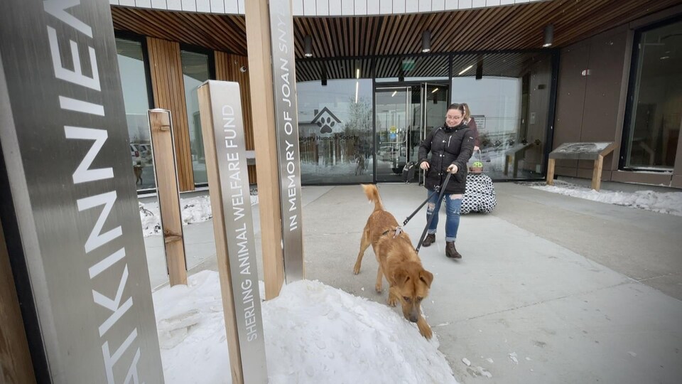 Une période des Fêtes pas comme les autres pour les animaux d’un refuge ...