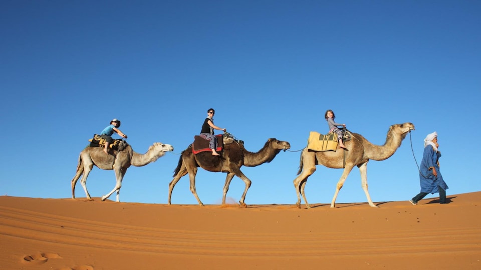 Le retour des nomades : la vie après un an autour du monde | ICI Radio ...