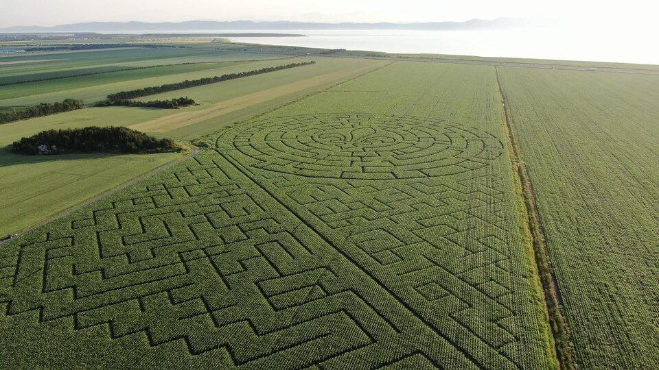 Le Grand labyrinthe Kamouraska vise un nouveau record