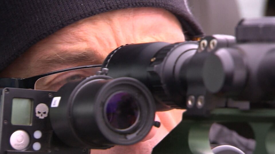 Quel avenir pour les chevaux sauvages de l’Alberta? | Radio-Canada.ca