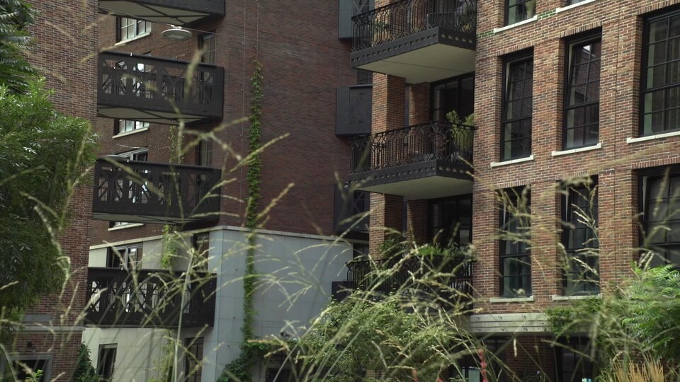 Le petit New York néerlandais | Radio-Canada.ca