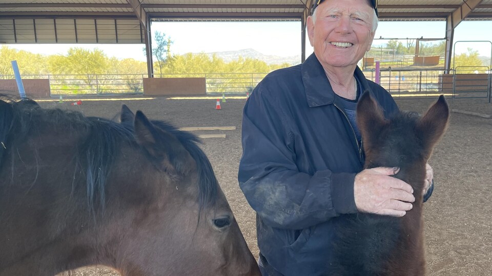 Arizona : Rio Verde Foothills, « le premier domino à tomber » dans la ...