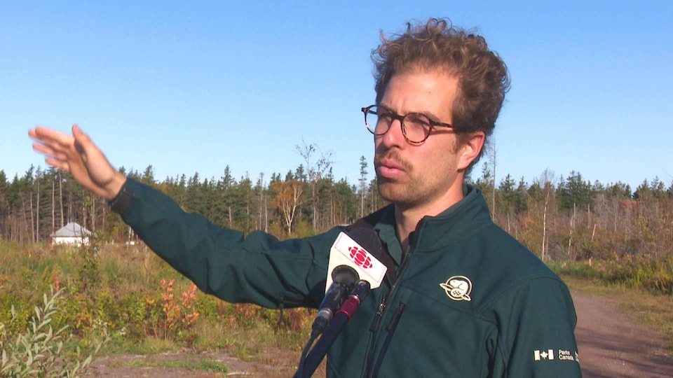À Rustico, les enfants plantent des arbres pour restaurer la forêt ...