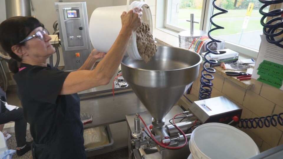 Comment rendre le « manger mou » plus attrayant en CHSLD | Radio-Canada.ca