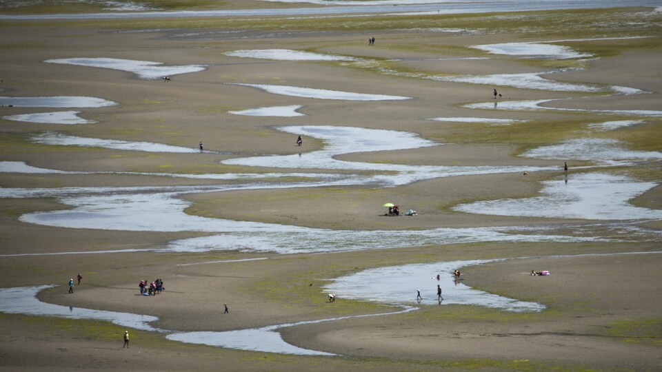 [En images] Marée d’une décennie : des trésors à découvrir quand l’eau ...