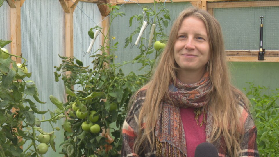 L’autonomie alimentaire est cultivée à l’école dans la MRC d’Avignon ...