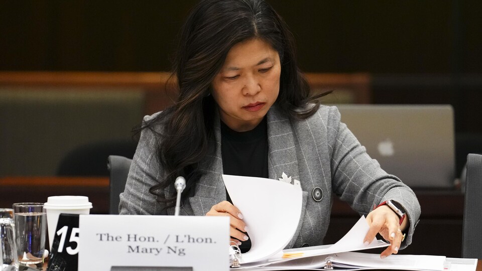 La ministre Mary Ng, qui a violé le code d’éthique, espère qu’on le lui ...