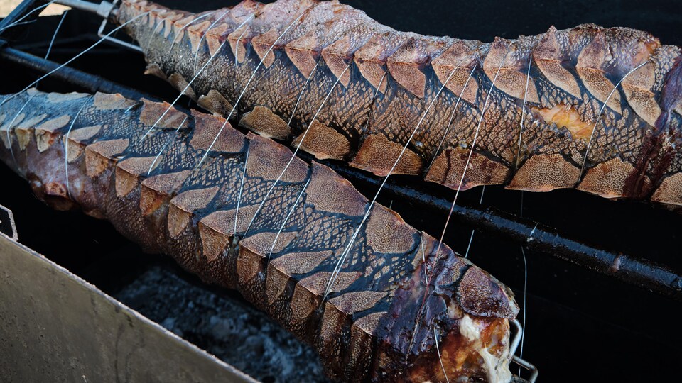 Esturgeon, vin minéral et oseille