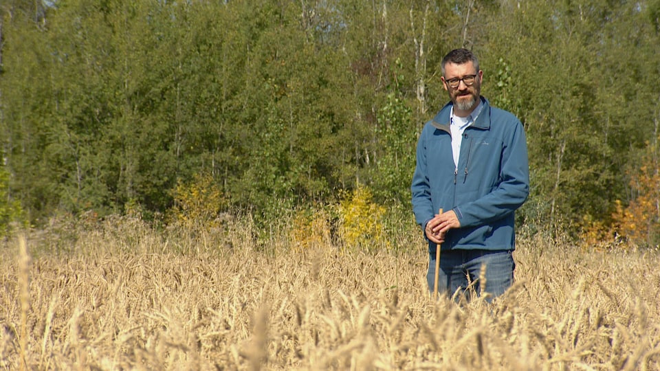 Une météorite se perd quelque part dans le centre de l'Alberta | Radio ...