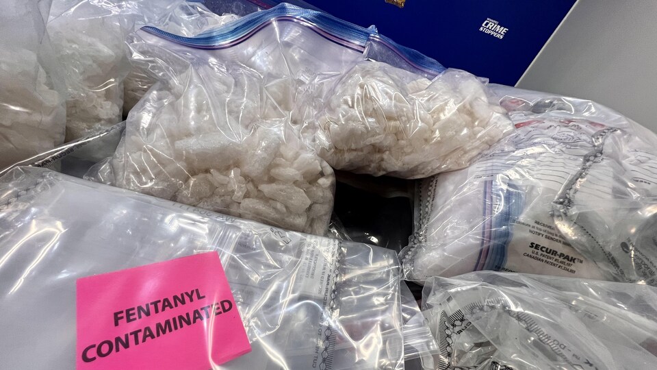 Saisie record à Winnipeg de 63 kg de méthamphétamine d’une valeur de 6 ...