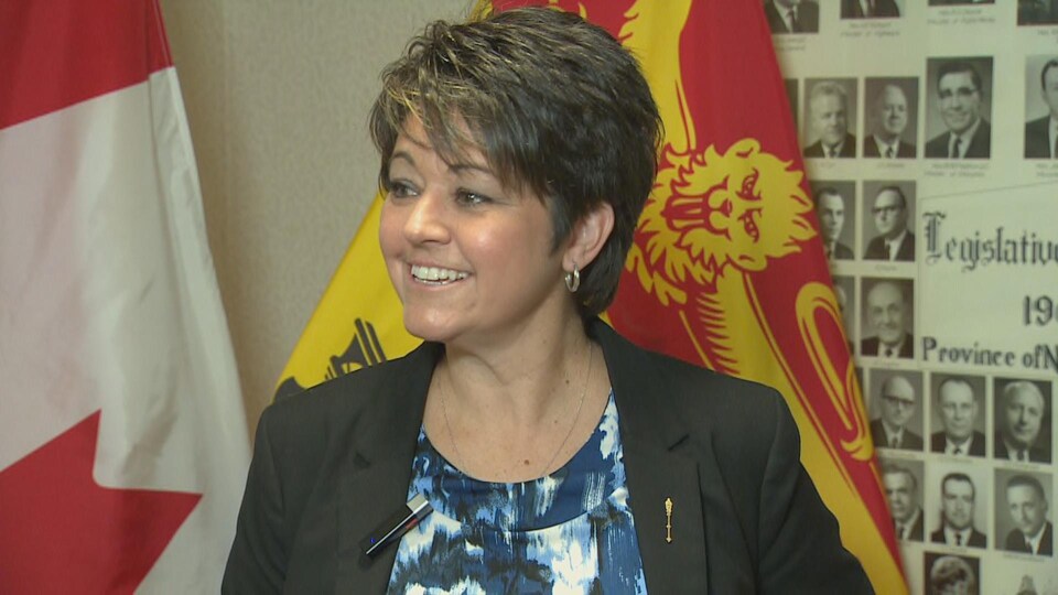 L’Alliance des gens demande la tenue des élections partielles de la région de Miramichi | Radio ...