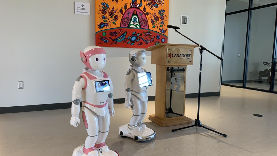 Un collège étudie la capacité des robots sociaux à réduire l’isolement ...