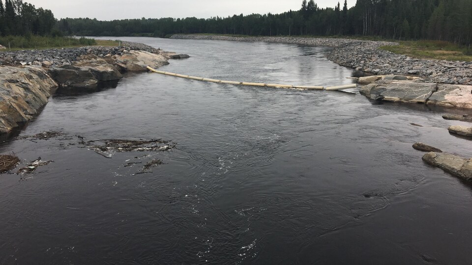Les policiers à la recherche d'un homme disparu sur la rivière ...