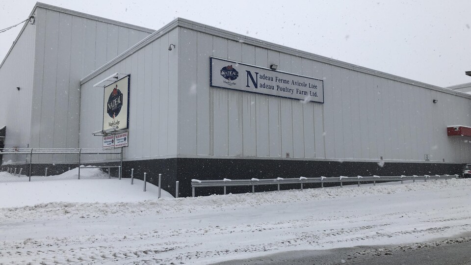 La région d’Edmundston passe à la phase rouge | La COVID-19 en ...