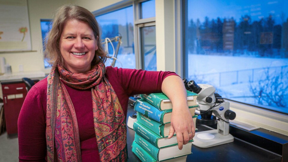 Une première canadienne pour une professeure de l'UQAT