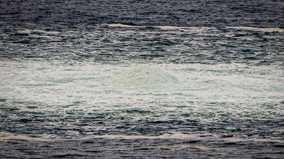 Nord Stream : des explosions équivalant « à des centaines de kilos » de ...