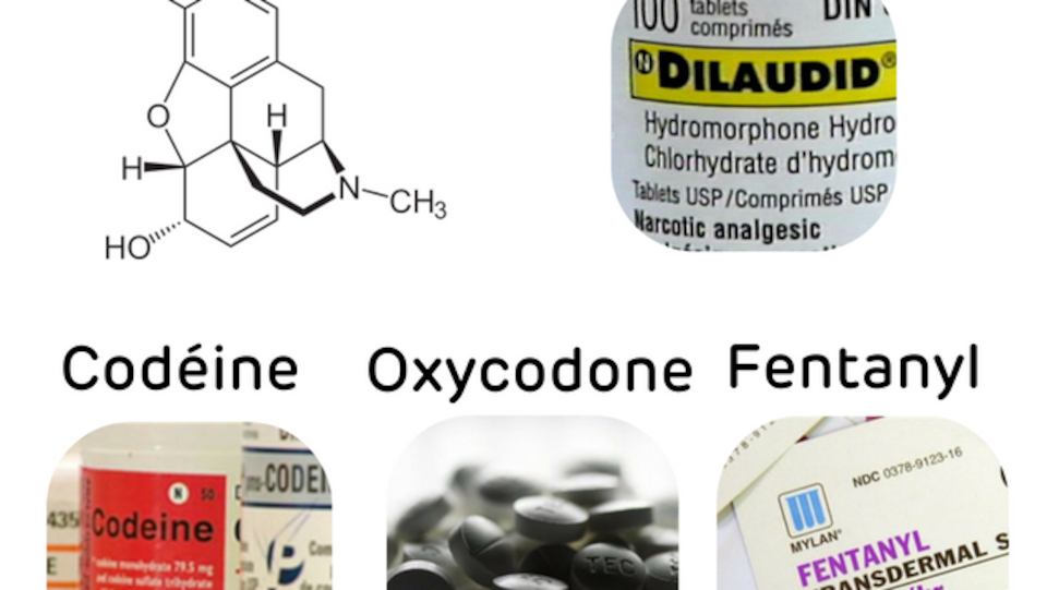 Où consomme-t-on le plus d'opioïdes dans le monde? La réponse en carte ...
