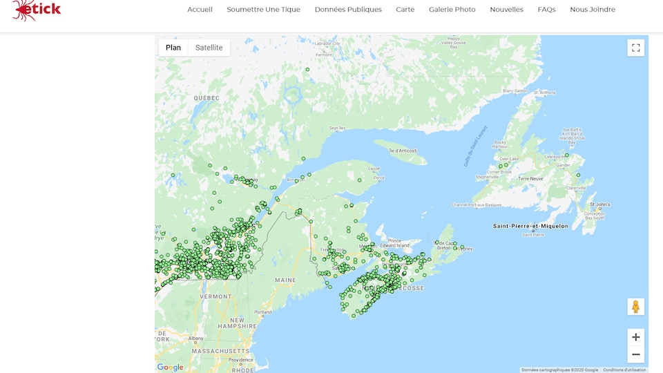 L’outil d’identification des tiques eTick maintenant accessible en N.-É ...