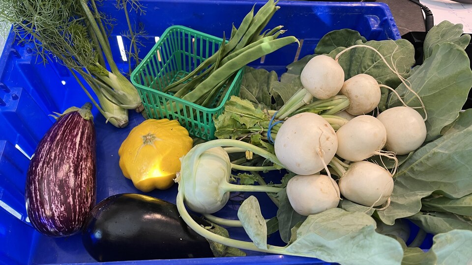 Découvrir et apprécier les légumes méconnus du potager