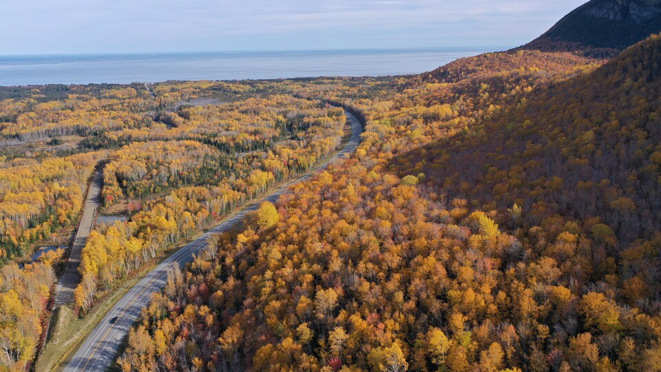 4,3 M$ pour la biodiversité du parc national Forillon | Radio-Canada.ca