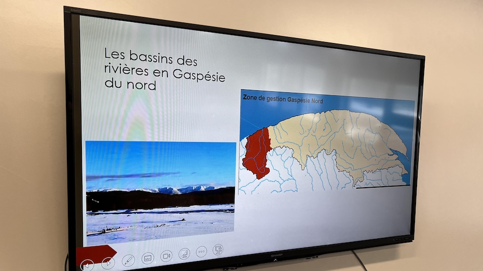 Un parc régional pourrait voir le jour à Cap-Chat | Radio-Canada.ca