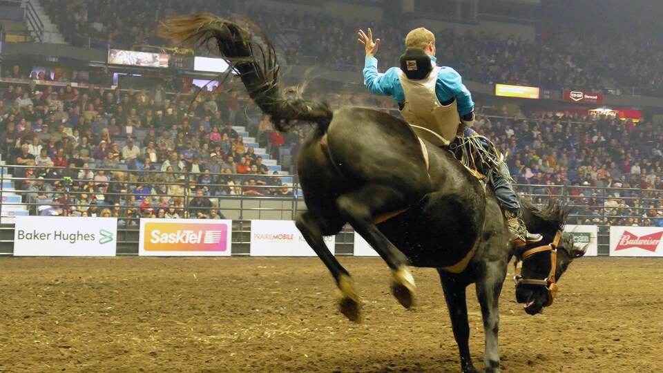 La 50 e foire agricole Agribition de Regina n’aura pas lieu cet automne ...