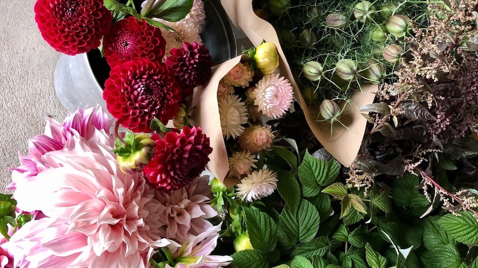 D'où proviennent les fleurs que nous achetons à la Saint-Valentin?