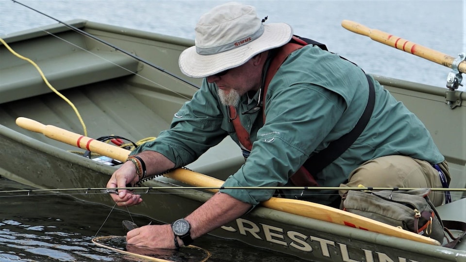 Québec a songé à interdire la remise à l'eau des truites mouchetées ...