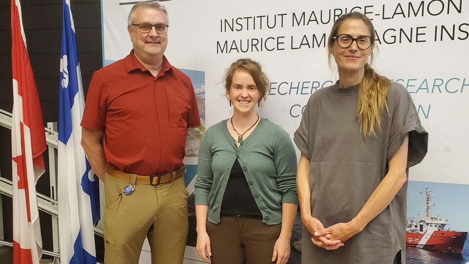 La crevette nordique victime des changements climatiques