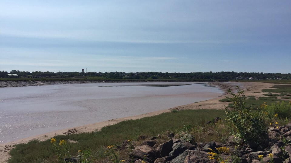 500 000 $ pour améliorer le sentier riverain à Moncton | Radio-Canada.ca