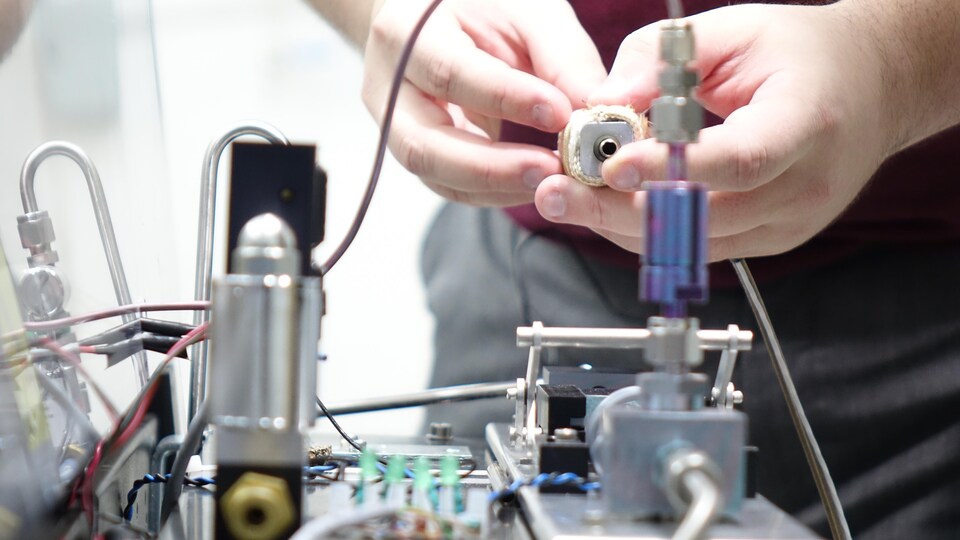 Des Monctoniens à l’assaut du cancer du poumon | ICI Radio-Canada.ca