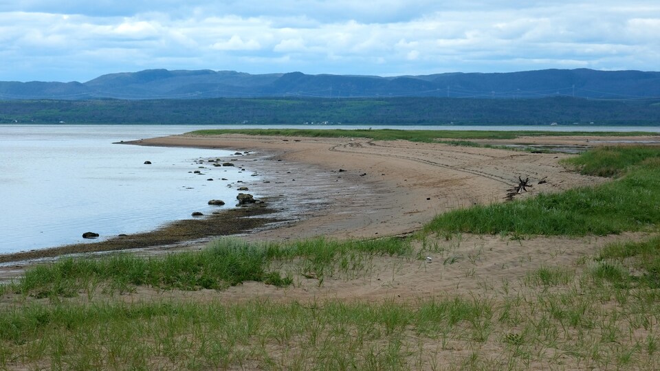 Une frayère de capelan sera restaurée à Uashat | Radio-Canada.ca
