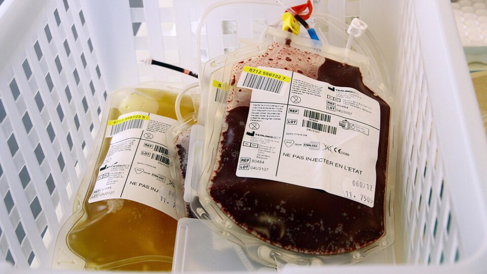 Plasma : l'interdiction du don rémunéré réclamée en Nouvelle-Écosse ...