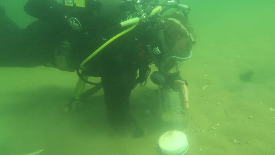 Le travail des plongeurs scientifiques de l'Institut Maurice-Lamontagne