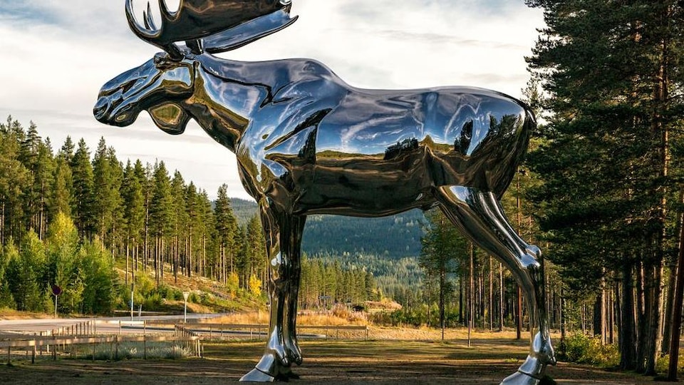 Une vidéo virale pour agrandir la statue d’orignal de Moose Jaw | ICI ...